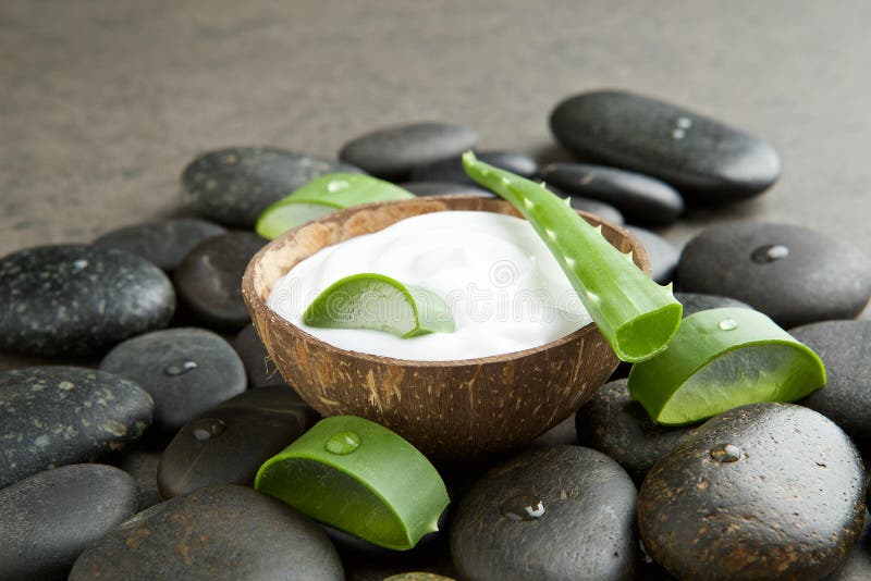 Slice Aloe Vera. stock image. Image of fresh, botany - 69384031