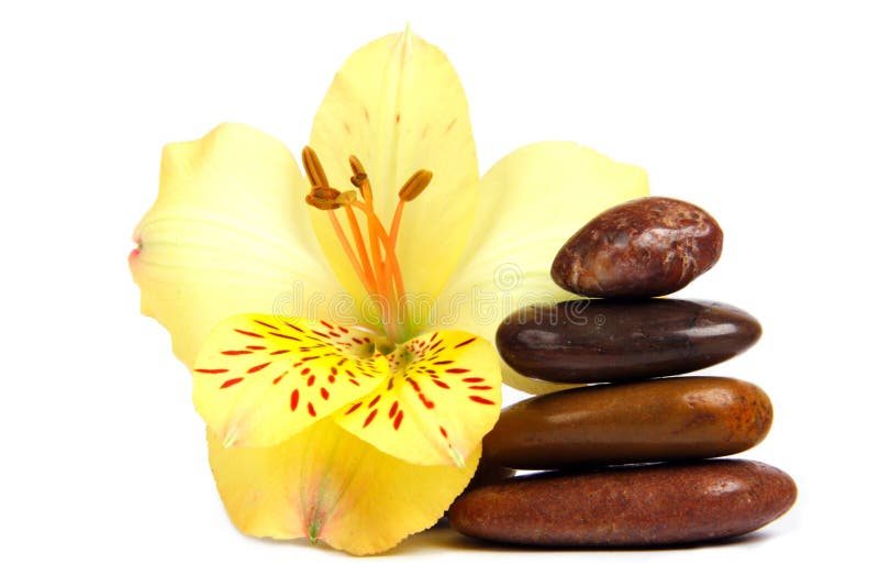 SPA elements stock photo. Image of bath, retreat, earth - 1394708