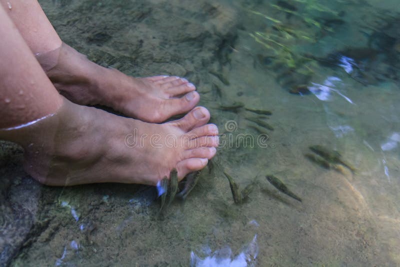 Spa stock photo. Image of clean, corrode, tidy, unstudied - 40043200