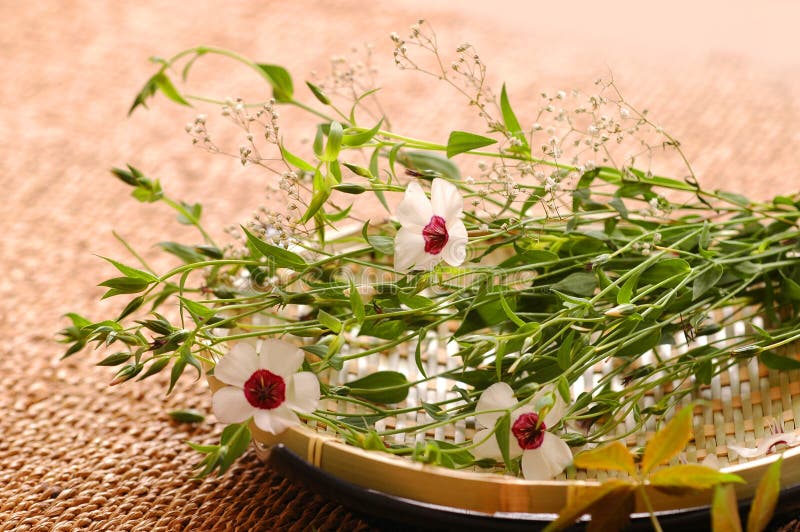 Spa floral composition stock image. Image of decor, herb - 52430189