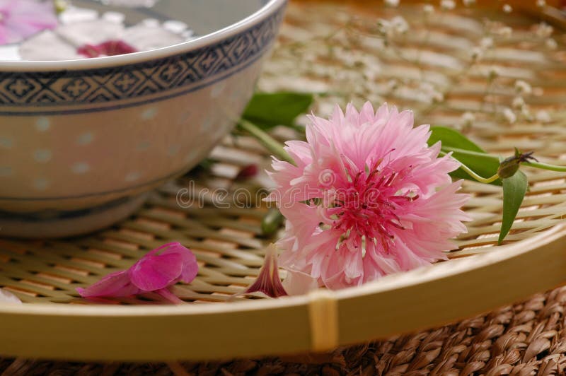 Spa floral composition stock photo. Image of care, harmony - 64623130