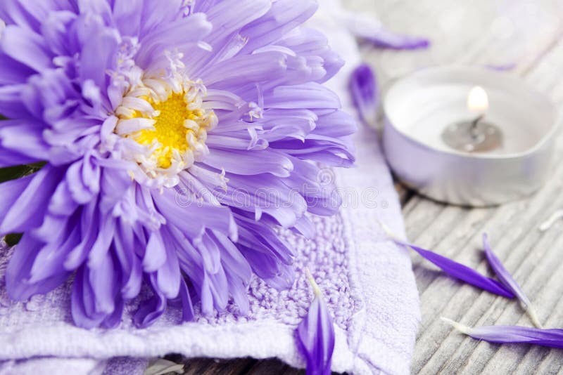 Spa flower stock image. Image of fresh, petal, blossom - 33609613