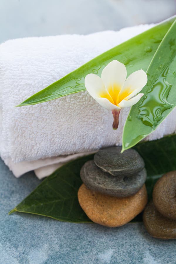 Spa Flower between Two Leaves for Massage Room Stock Photo - Image of ...