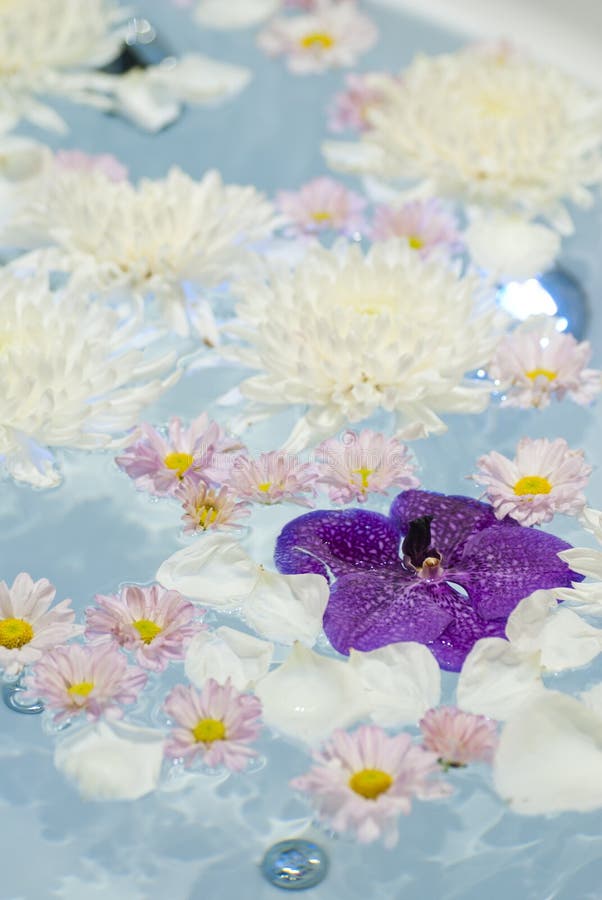 Spa Flowers on Water in Spa Room Stock Image - Image of clean ...
