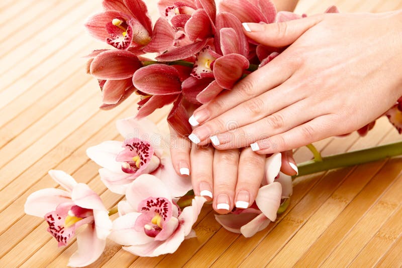 Spa hands stock image. Image of elegant, clean, manicure - 13737223