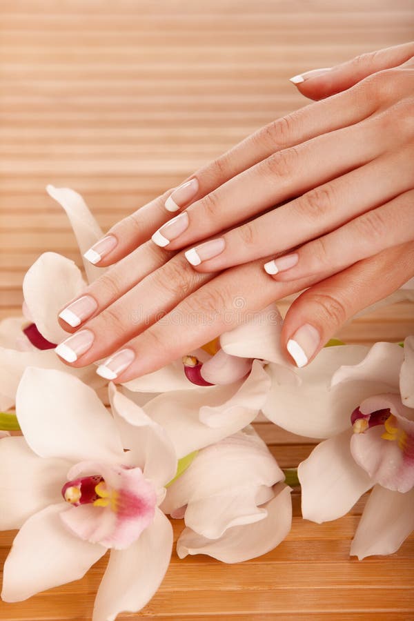 Spa hands stock image. Image of laque, flowers, arms - 13709039