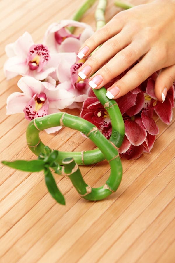 Spa hands stock photo. Image of care, female, closeup - 16429462