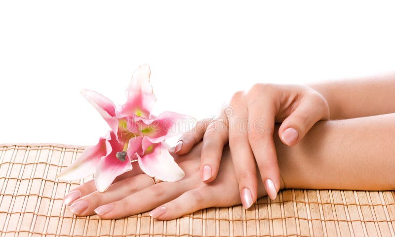 Spa hands stock photo. Image of closeup, manicure, female - 28830672