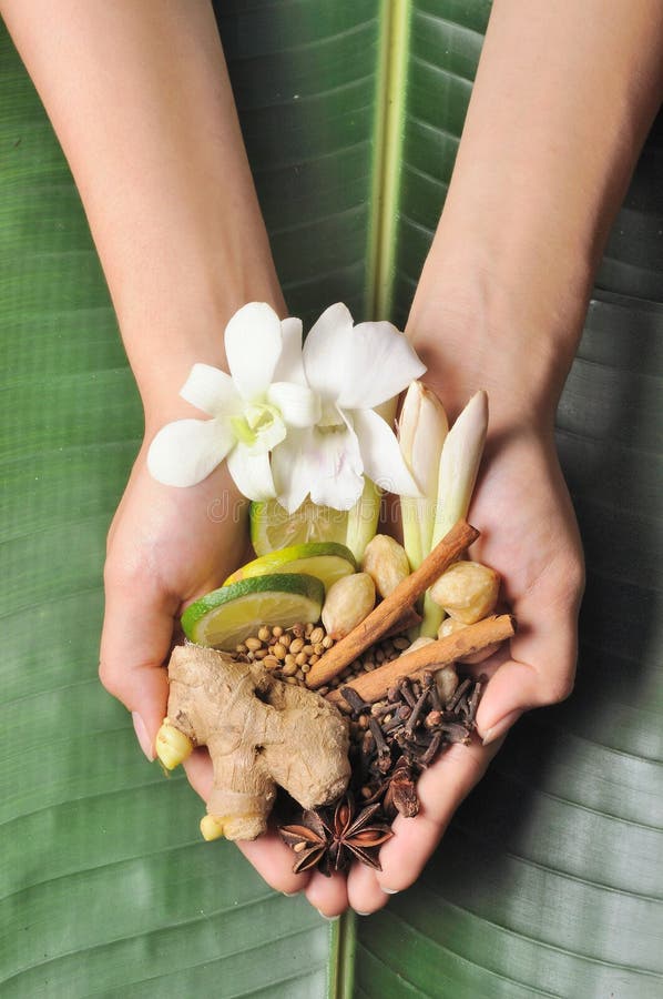 Spa herbs stock image. Image of healthcare, bali, feminine - 23619087