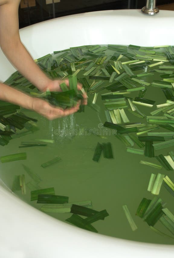 Spa leaves bath stock photo. Image of treatment, massage - 1182022