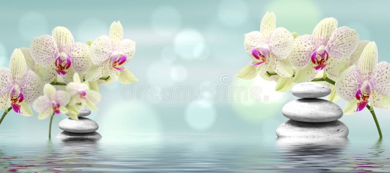 Spa - Natural Alternative Therapy with Massage Stones in Water Stock ...