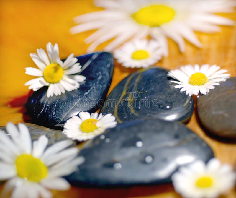 Assorted polished rocks stock image. Image of black, pile - 6709191