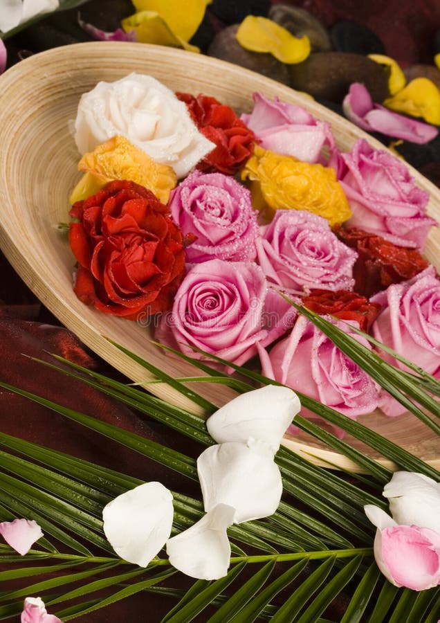 Zen roses stock photo. Image of beauty, colorful, emotion - 2871164