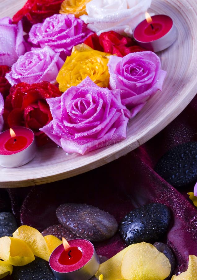 Spa roses stock image. Image of blossom, drops, bridal - 2871229