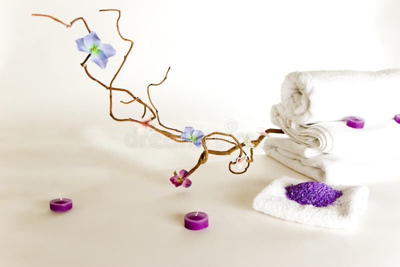 Spa set stock photo. Image of rest, relaxation, body - 14272984