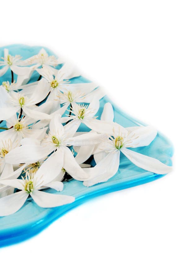 Spa Dish stock photo. Image of peaceful, relaxing, ceramic - 2113418