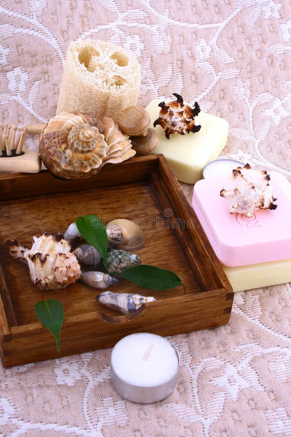 Spa shell stock photo. Image of cosmetics, blue, personal - 4970496