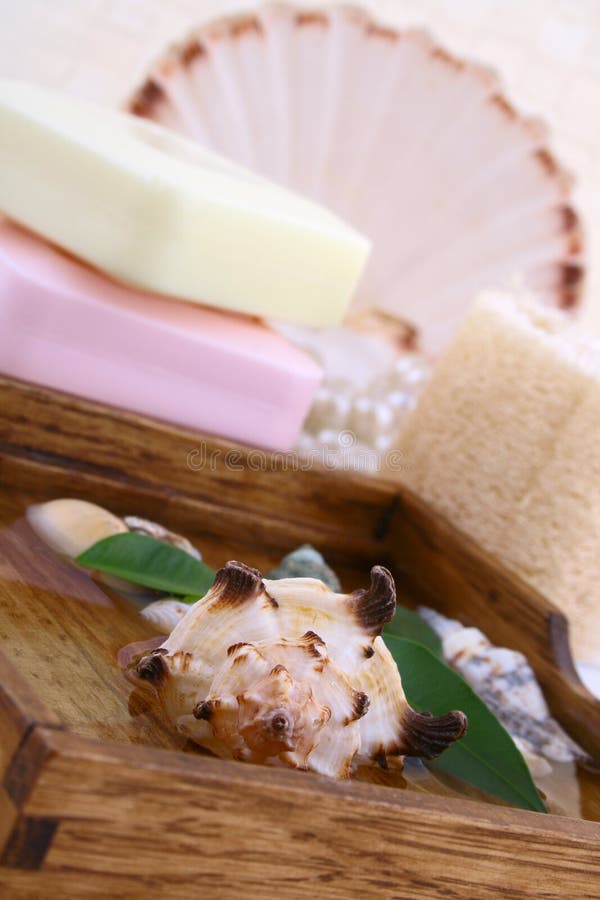 Spa shell stock image. Image of perfume, care, bathroom - 4971111