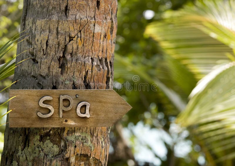 Spa sign stock photo. Image of palm, exotic, holiday, sign - 4083686