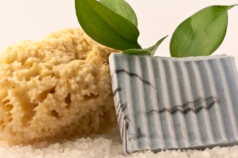 Spa Soap and Sponge stock photo. Image of loofah, wash - 15837324