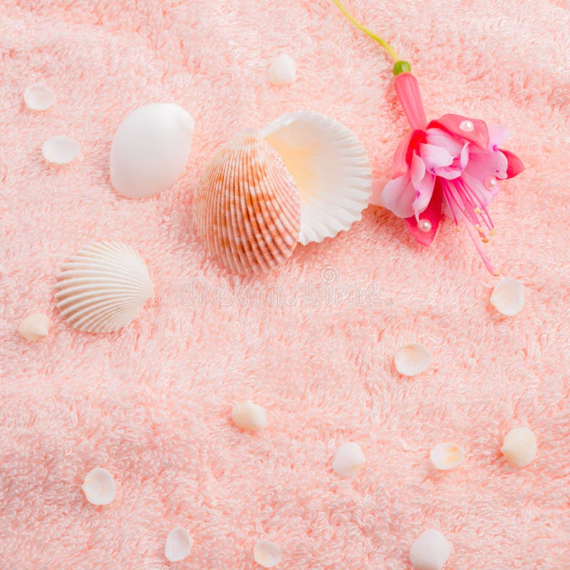 Spa Soft Concept With Delicate Pink Flower Fuchsia, Seashells Stock ...