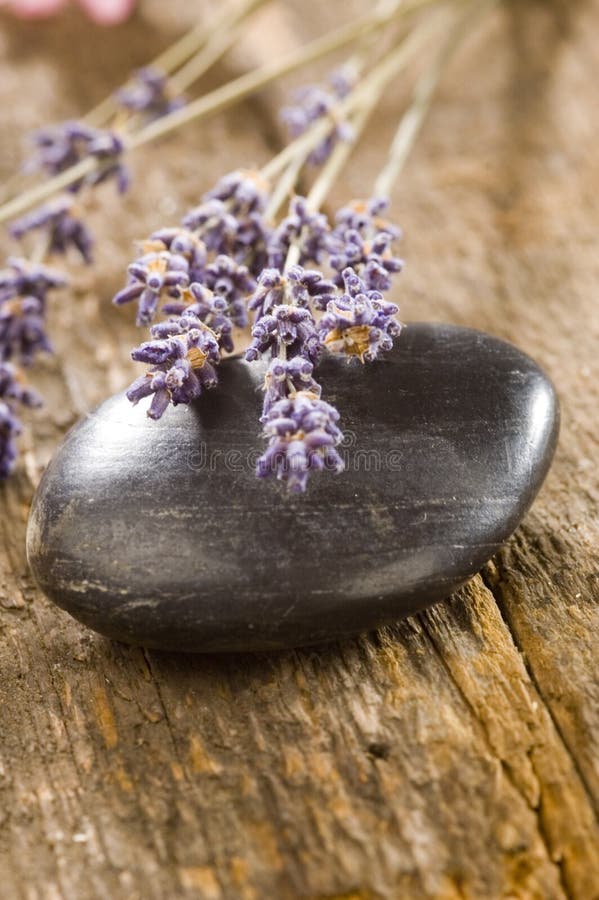 Spa stone stock photo. Image of relaxation, body, nature - 10277960