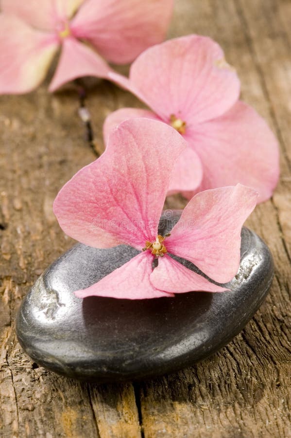 Spa stone stock photo. Image of black, rose, nature, stone - 10278022