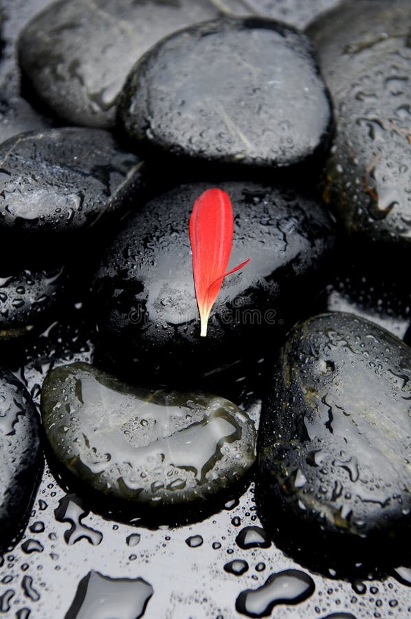 Spa stone stock photo. Image of culture, massage, isolated - 22408116