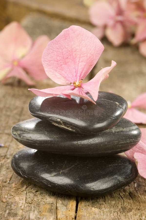 Spa stones stock image. Image of wellness, aromatherapy - 10277989