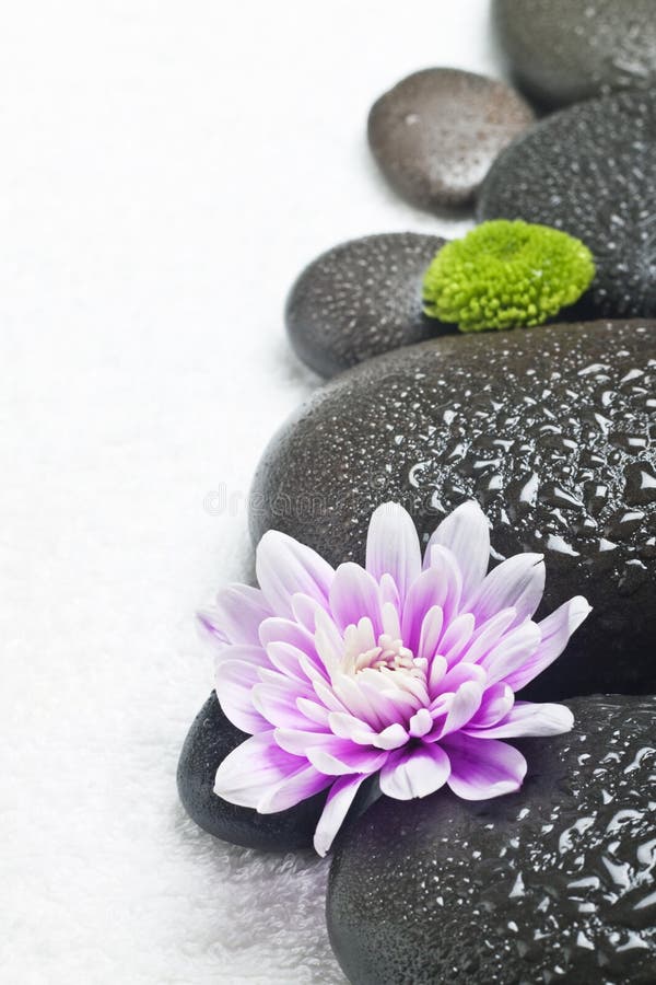 Spa stones stock image. Image of health, flowers, lifestyle - 23304801