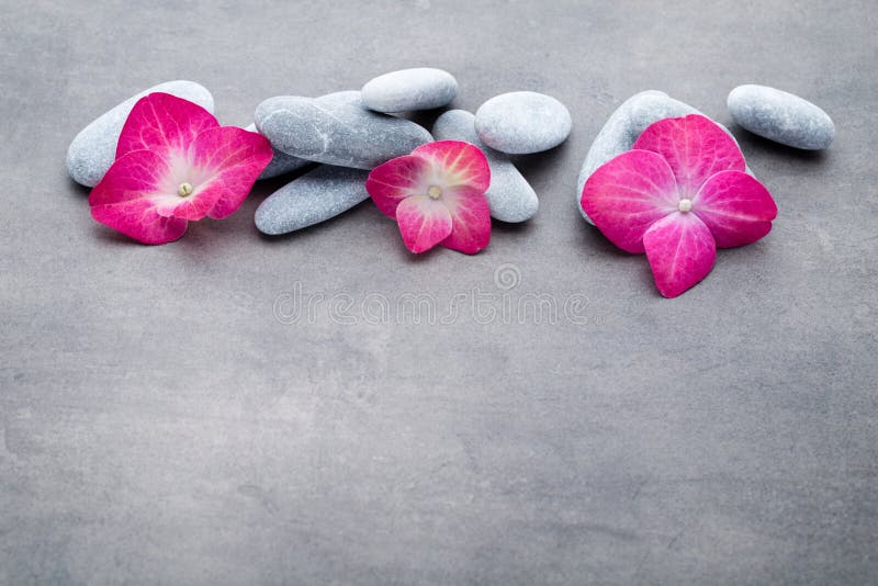Spa Stones and Flowers, on Grey Background Stock Photo - Image of ...