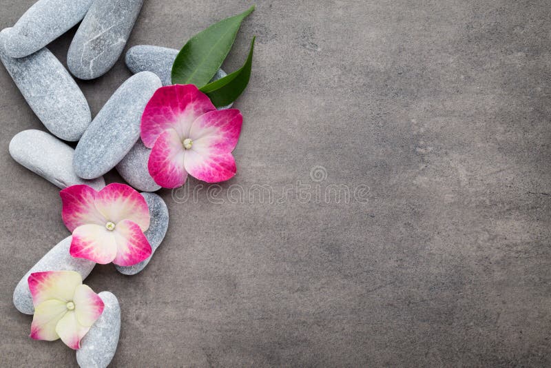 Spa Stones and Flowers, on Grey Background. Stock Photo - Image of ...