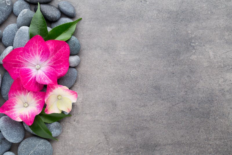 Spa Stones and Flowers, on Grey Background. Stock Photo - Image of ...