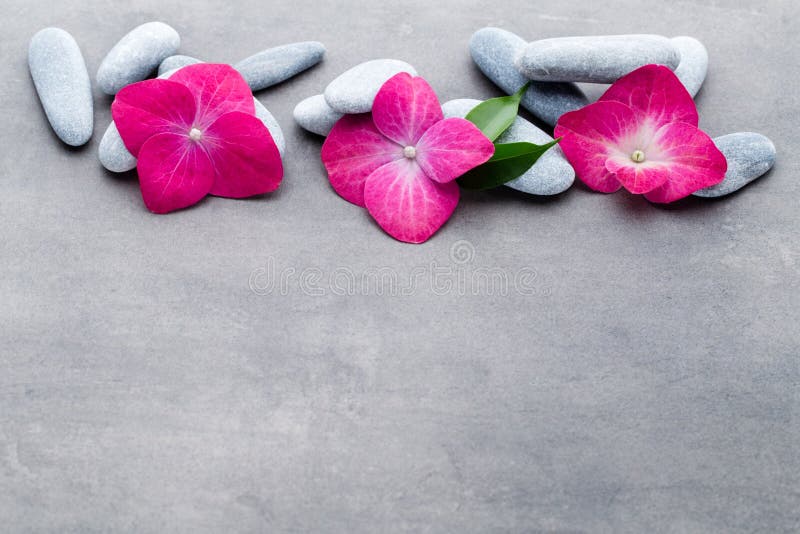 Spa Stones and Flowers, on Grey Background. Stock Image - Image of ...