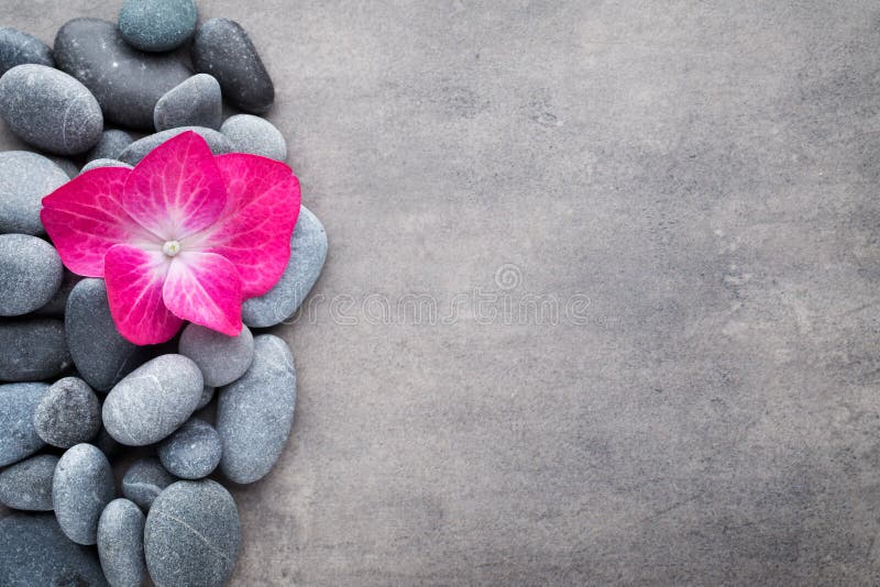 Spa Stones and Flowers, on Grey Background. Stock Image - Image of ...
