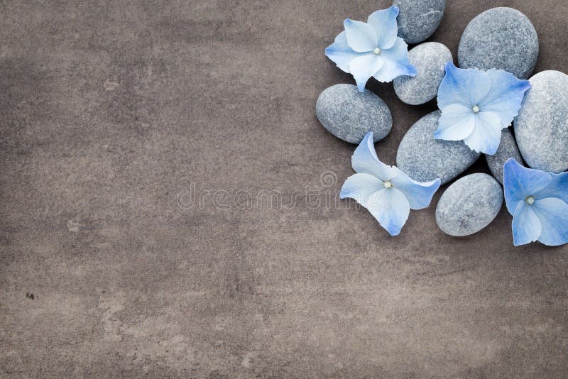 Spa Stones and Flowers on Grey Background. Stock Photo - Image of ...