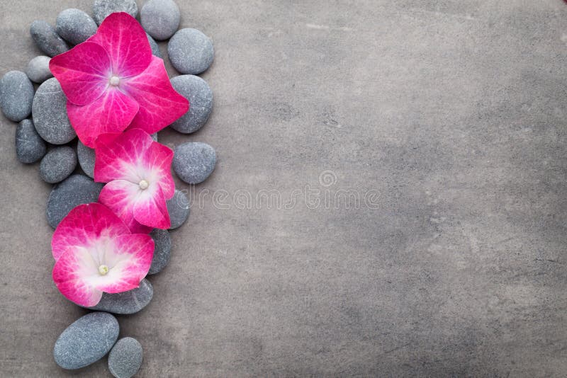 Spa Stones and Flowers, on Grey Background. Stock Image - Image of ...