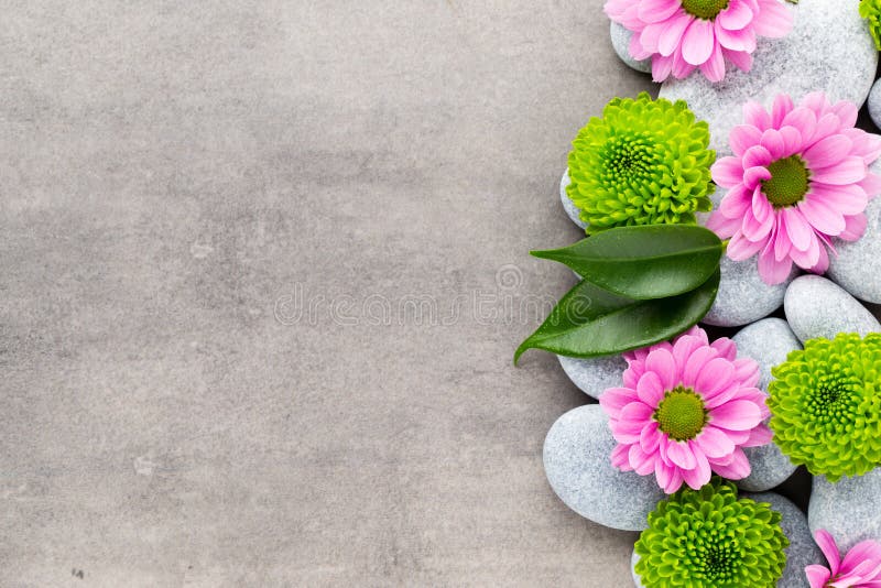 Spa Stones and Flowers on Grey Background. Stock Photo - Image of ...