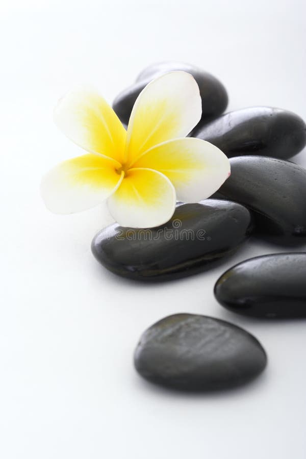 Path of black spa stones stock illustration. Illustration of massage ...