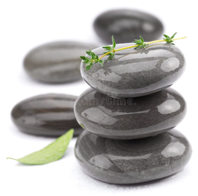 Spa Stones with Green Leaves Stock Photo - Image of copyspace, care ...