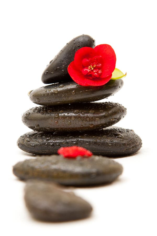 Spa stones with red flower stock photo. Image of pink - 20443396