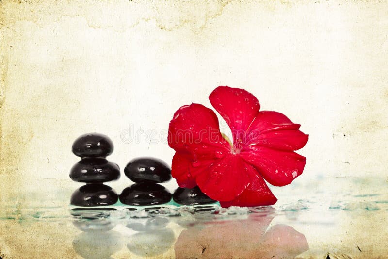 Spa stones and red flower stock photo. Image of hygiene - 44274428