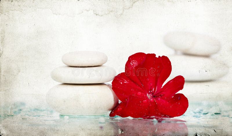 Spa stones and red flower stock image. Image of japanese - 42508803