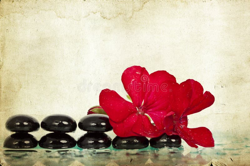 Spa stones and red flower stock photo. Image of japanese - 45614678