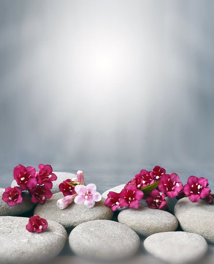 Spa Stones with Red and White Flowers on Grey Background. Stock Image ...