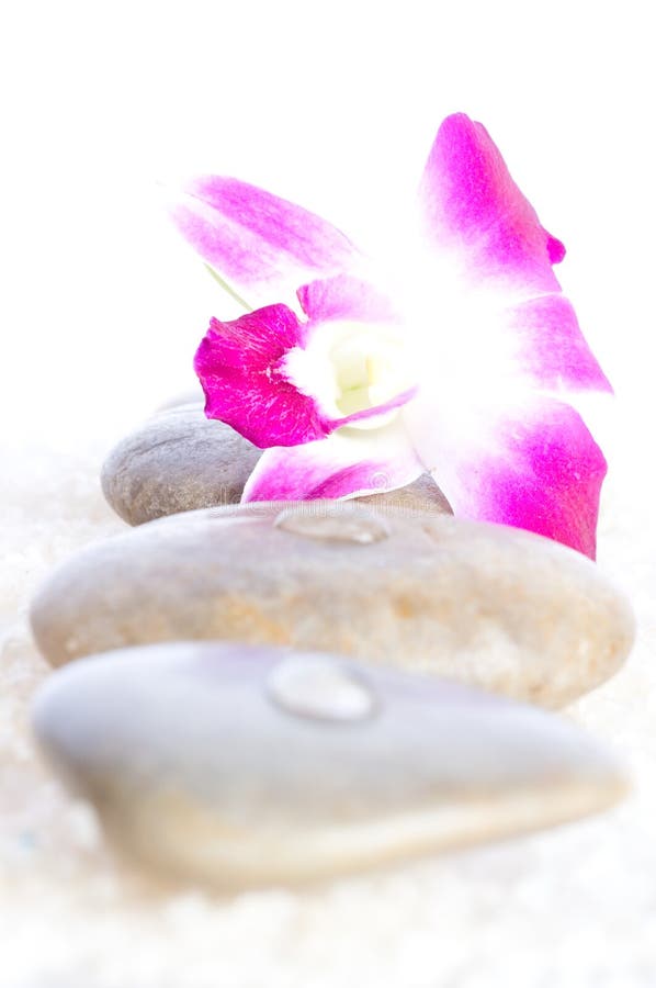 Spa stones with water drop stock photo. Image of leave - 11598448