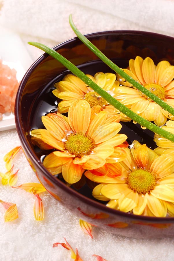 Spa therapy stock photo. Image of home, care, aromatherapy - 13341916