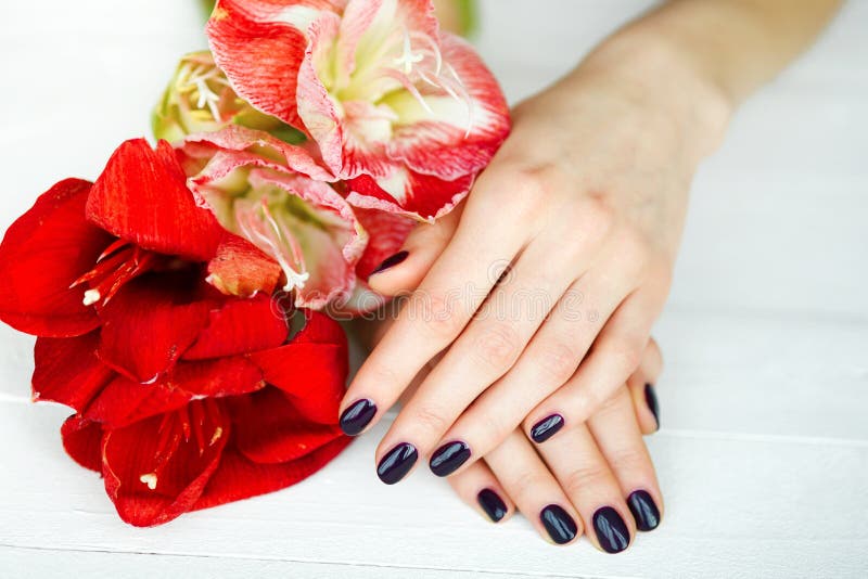 Spa Treatment for Woman Hands with Red Flowers Stock Image - Image of ...