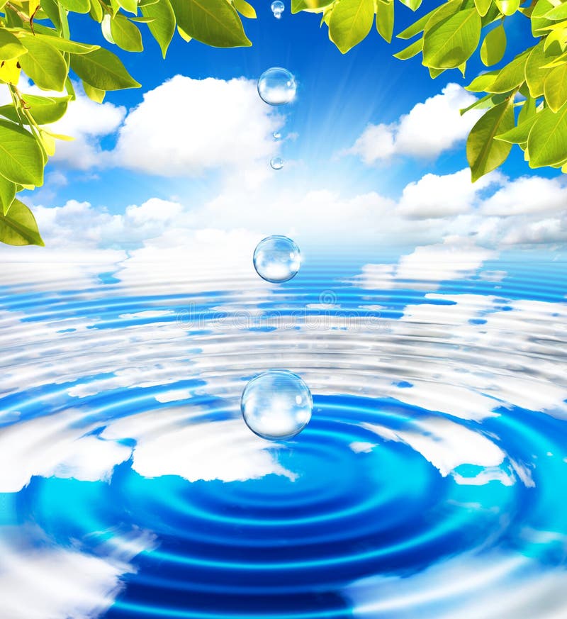 Nature Water Drop Leaves Garden Stock Image - Image of drop, decoration ...