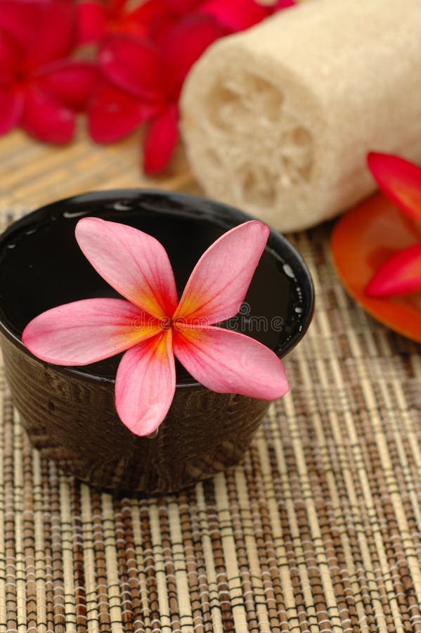 Spa and wellness stock image. Image of fresh, beauty - 14817657